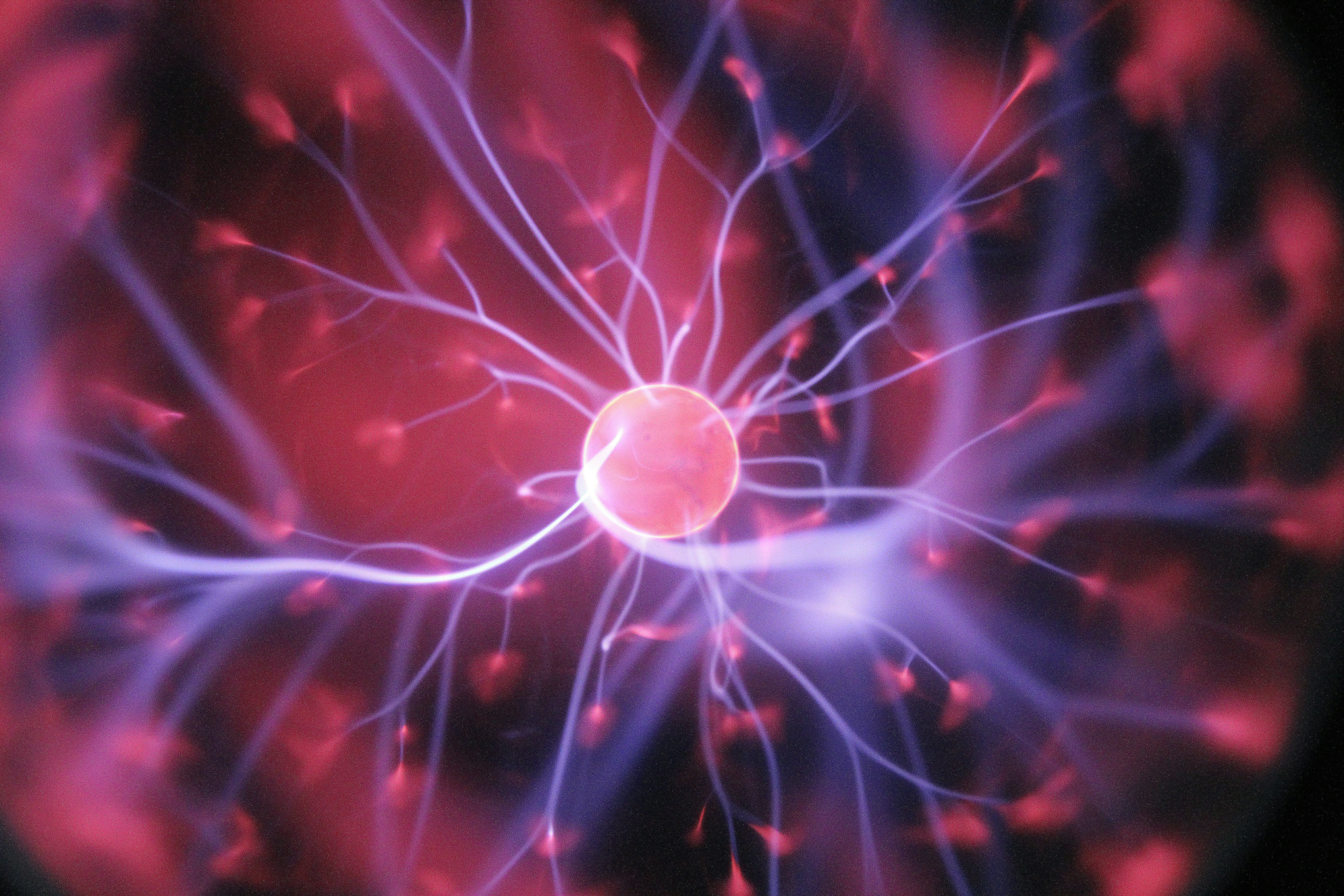 The Science Behind Motivation: Unveiling the Secrets of Human Drive ...
